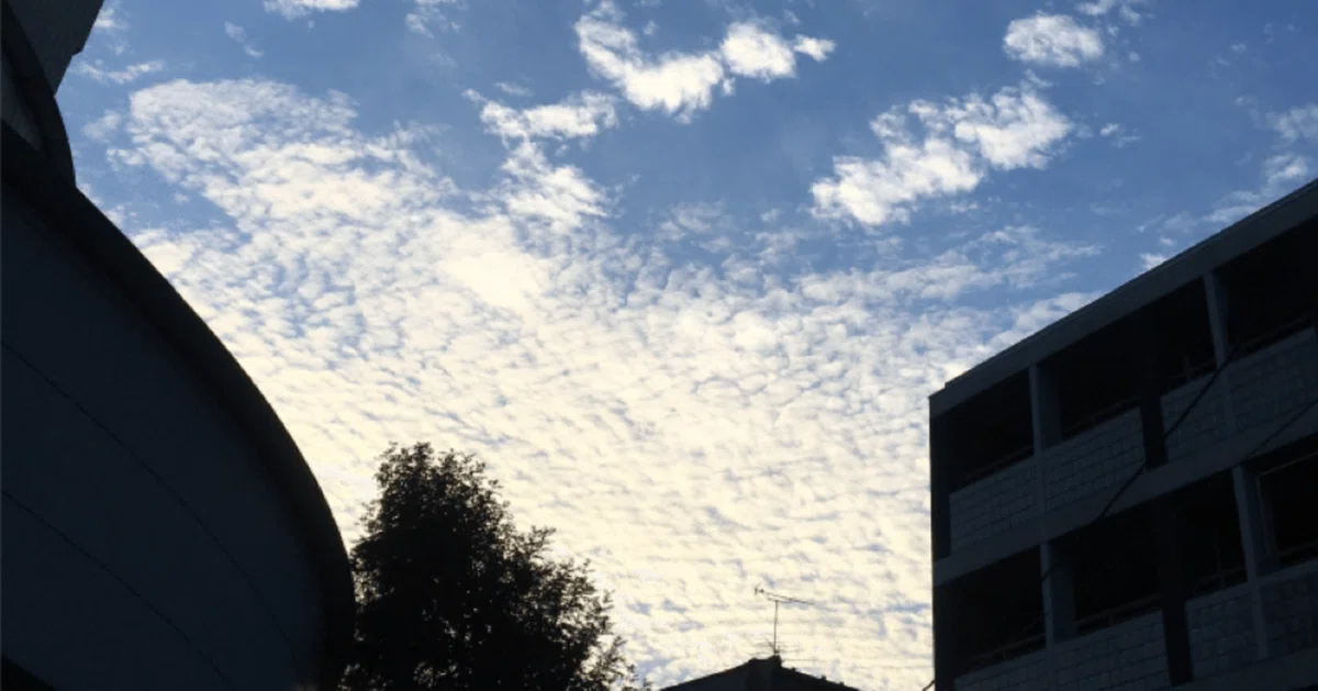 2章：投資信託の立ち上げの苦悩～独立系として14年ぶりの直販参入へ～ | コラム - 投資の知識と洞察 | fundnote